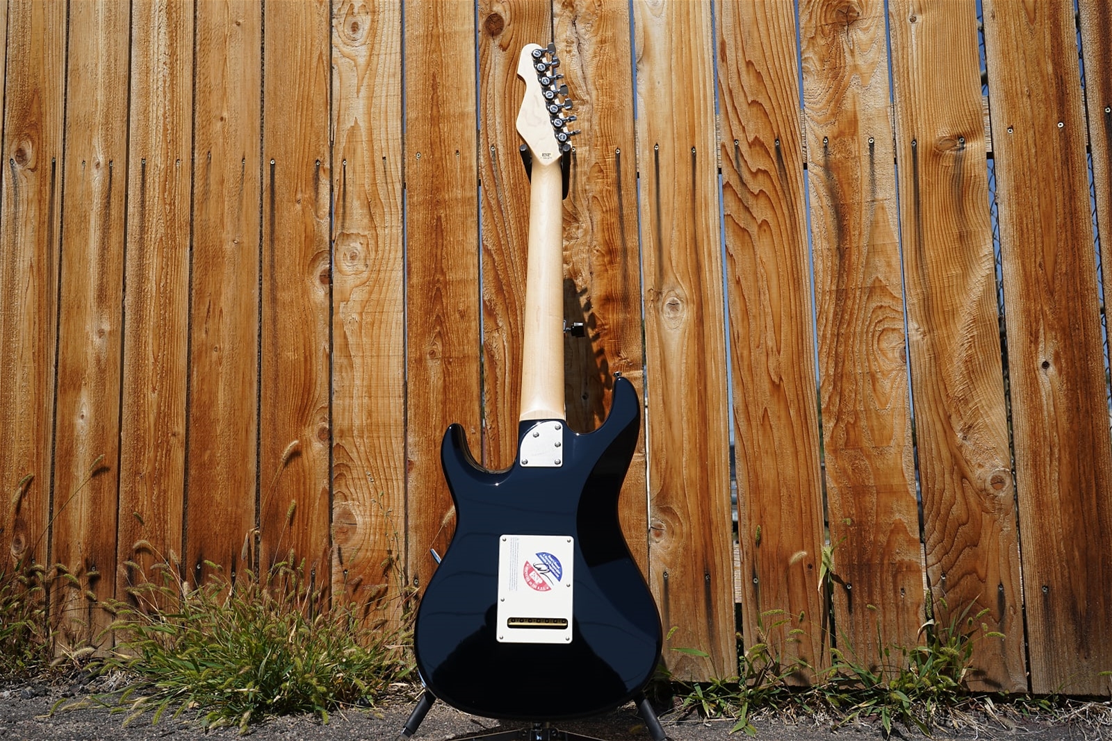 ESP Original Custom Shop Snapper-7 AL/R Black 7-String Electric Guitar