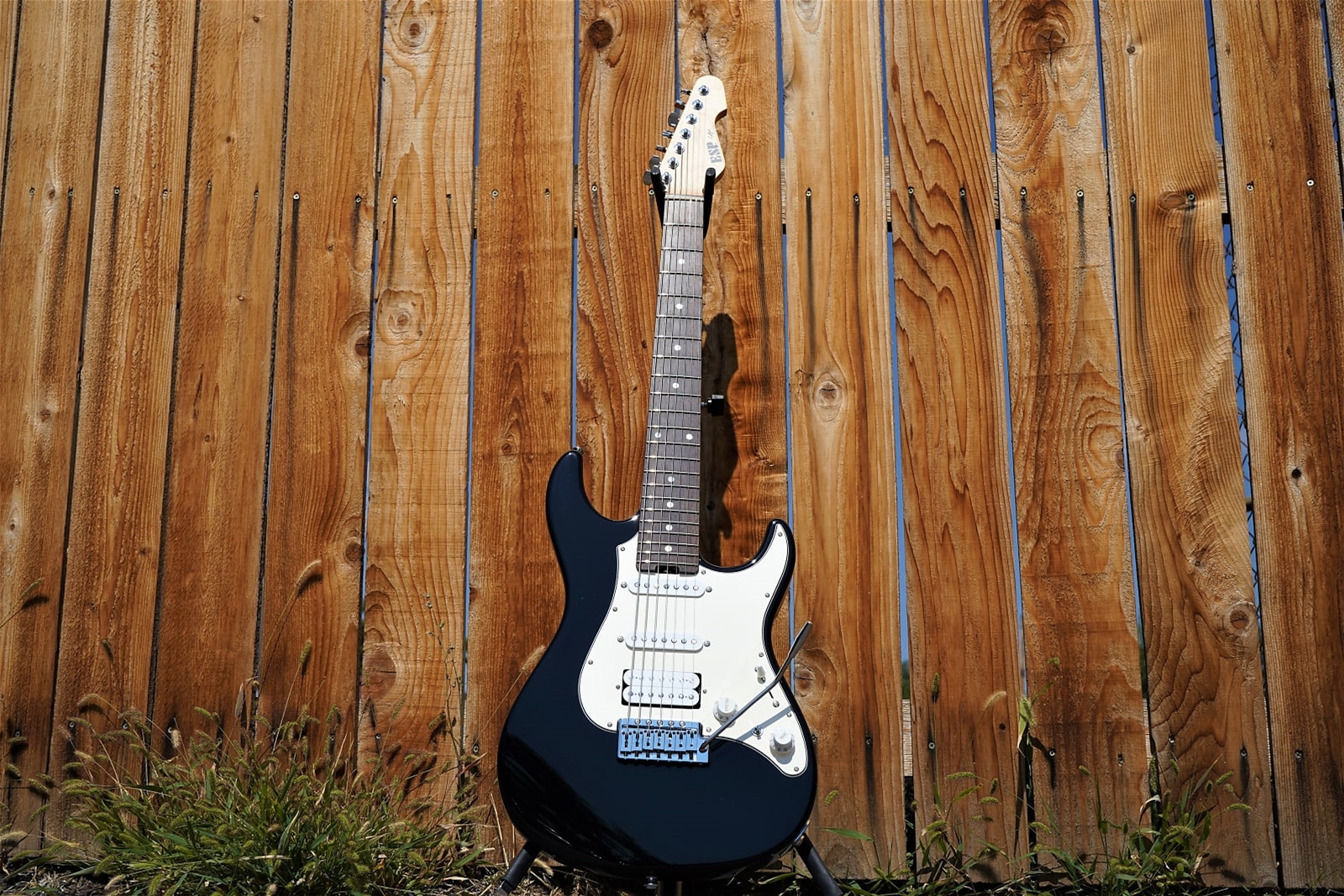 ESP Original Custom Shop Snapper-7 AL/R Black 7-String Electric Guitar